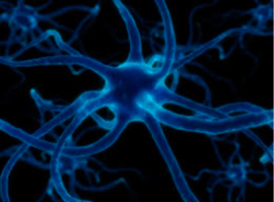 La Esclerosis Lateral Amiotrófica - espacioLogopedico